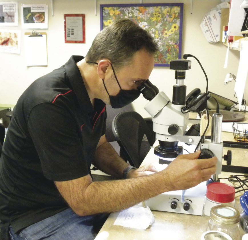 Extension educator just keeps on growing | News, Sports, Jobs - The ...